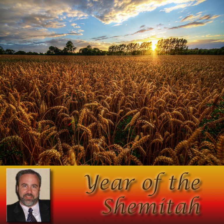 The Shemitah and Stewardship - Living Grace Fellowship