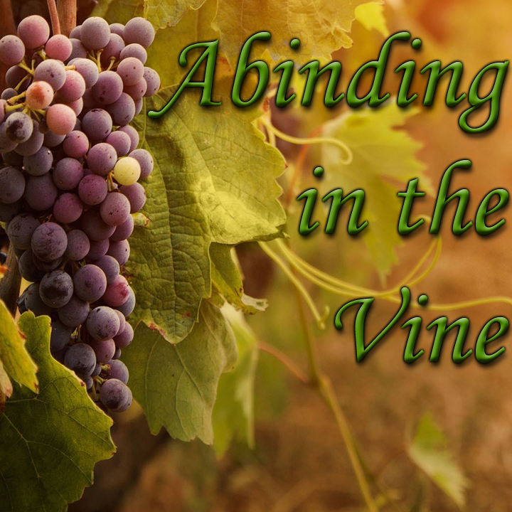Abiding in the Vine I - Living Grace Fellowship