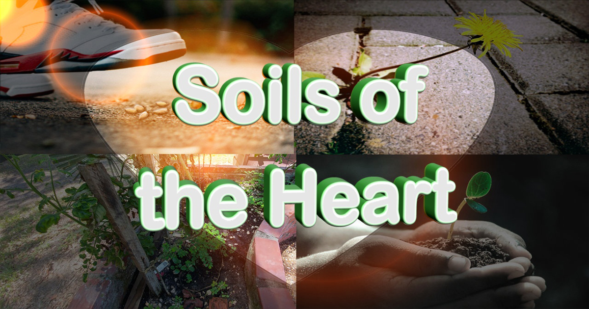 Soils of the Heart - Living Grace Fellowship