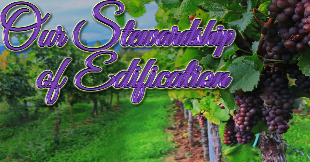 Our Stewardship of Edification - Living Grace Fellowship