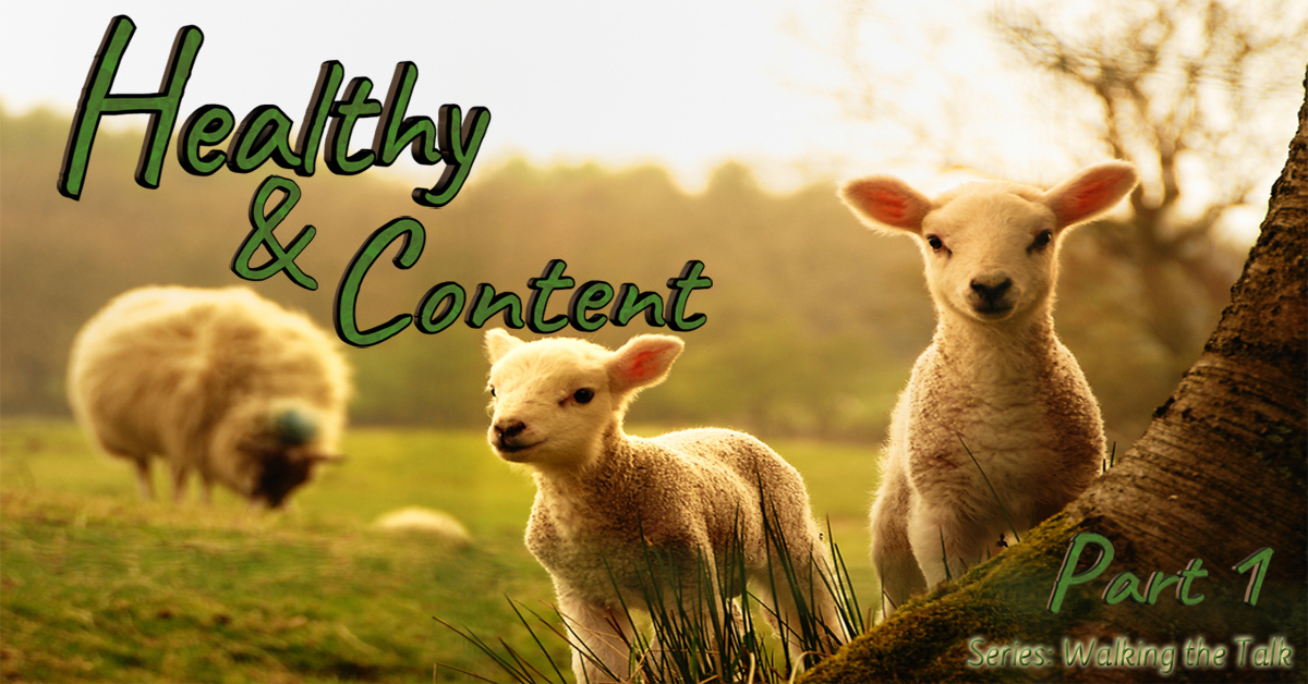 Healthy & Content - Living Grace Fellowship