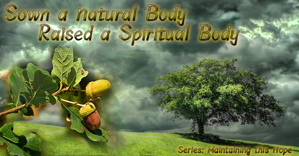 Sown a natural body, Raised a Spiritual Body - Living Grace Fellowship