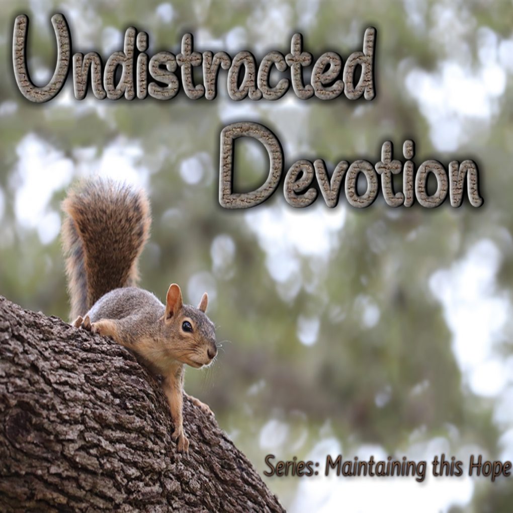 Undistracted Devotion - Living Grace Fellowship