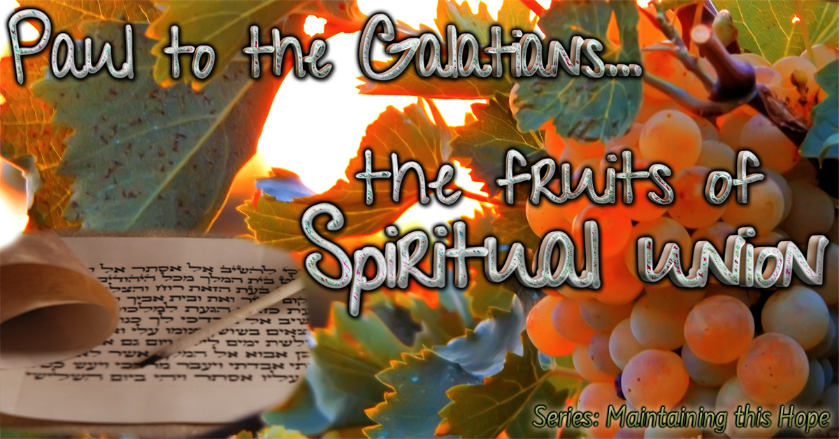 Paul to the Galatians...the fruits of Spiritual union - Living Grace ...