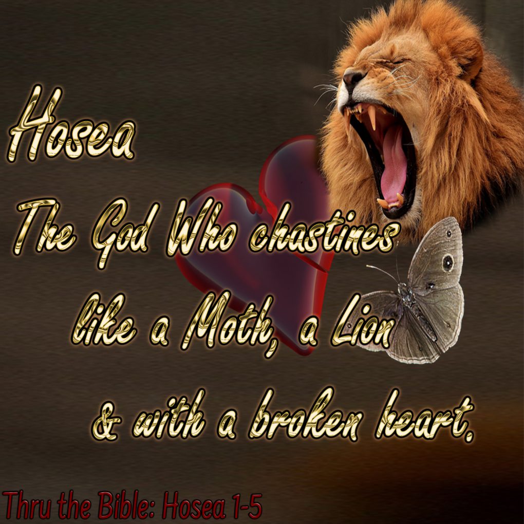 Hosea - The God Who chastines as a Moth, a Lion & a broken heart ...