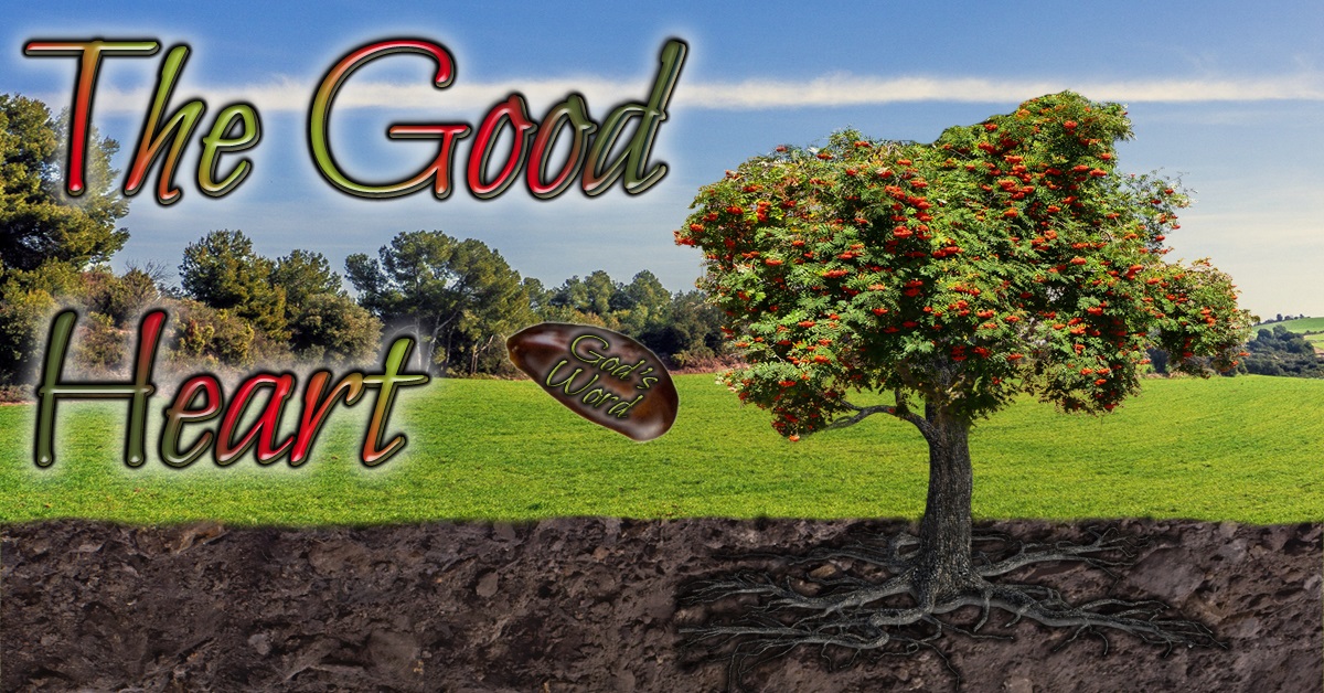The Good Heart - Living Grace Fellowship