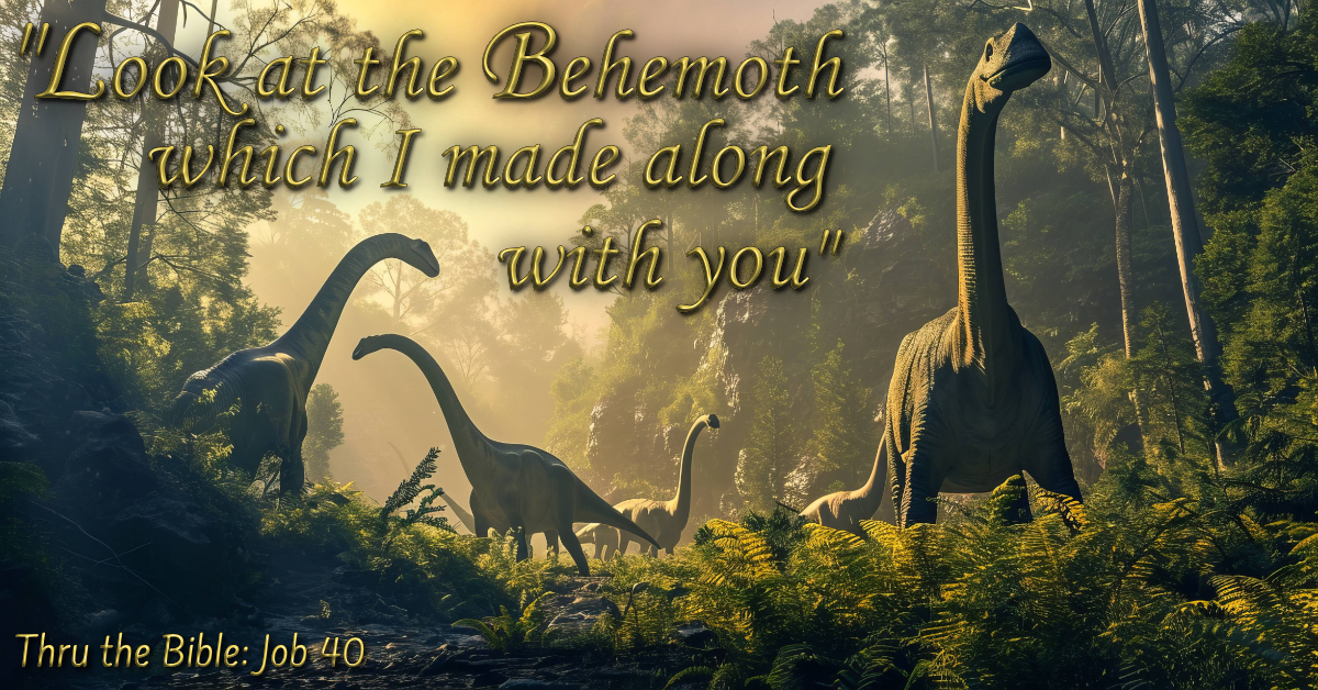 Look at the Behemoth which I made along with you - Living Grace Fellowship