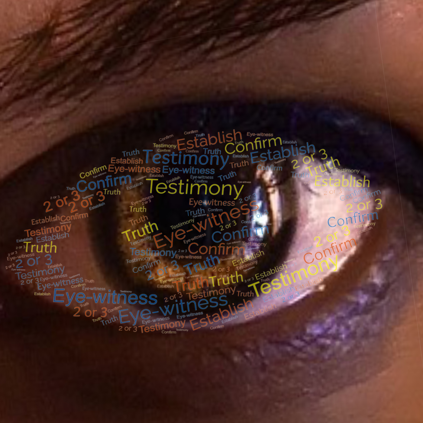 The Testimony of 2 or 3 witnesses - Living Grace Fellowship