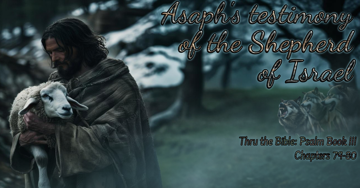Asaph's testimony of the Shepherd of Israel - Living Grace Fellowship